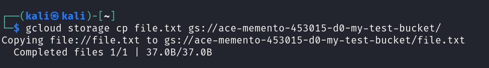 Google Cloud Storage Buckets: A Step-by-Step Guide